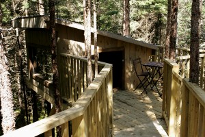 Dormir dans une cabane dans la forêt - Kabania offre un camping ...
